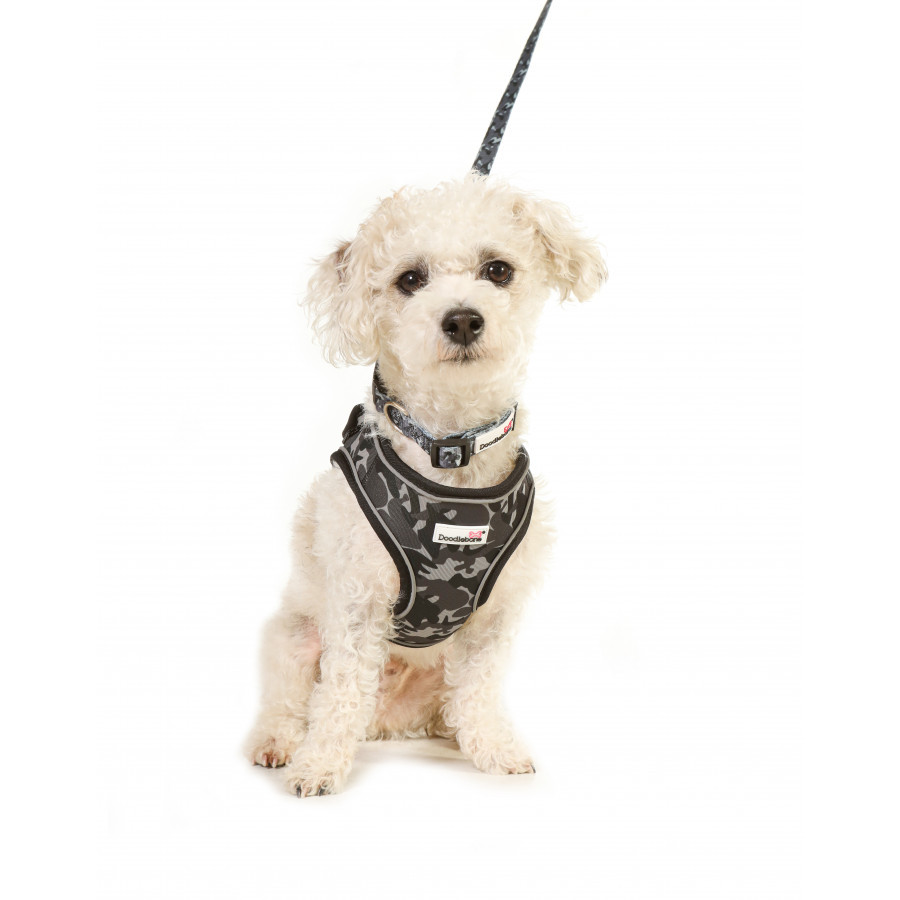 Doodlebone Snappy Harness - Bob the Dog Shop